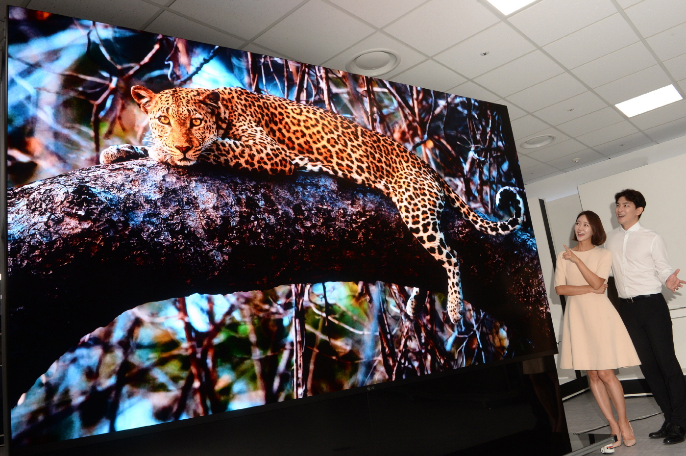 Revolutionary LG Magnit Micro LED display technology turns any wall ...